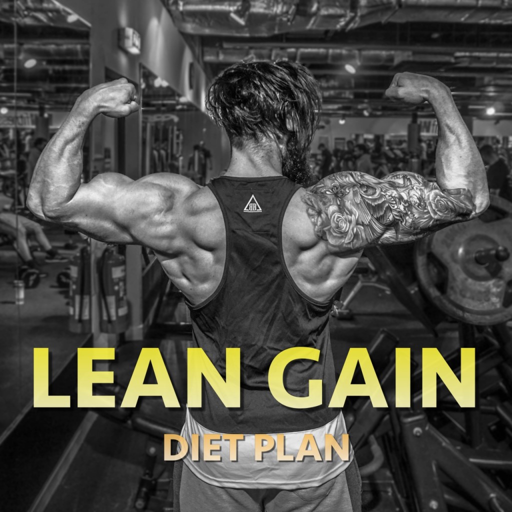 LEAN GAIN Tailored Diet Plan (Muscle Gain) - LexFitness